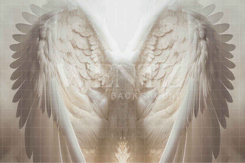 Fundo Fotográfico em Tecido Asas / Backdrop 3495